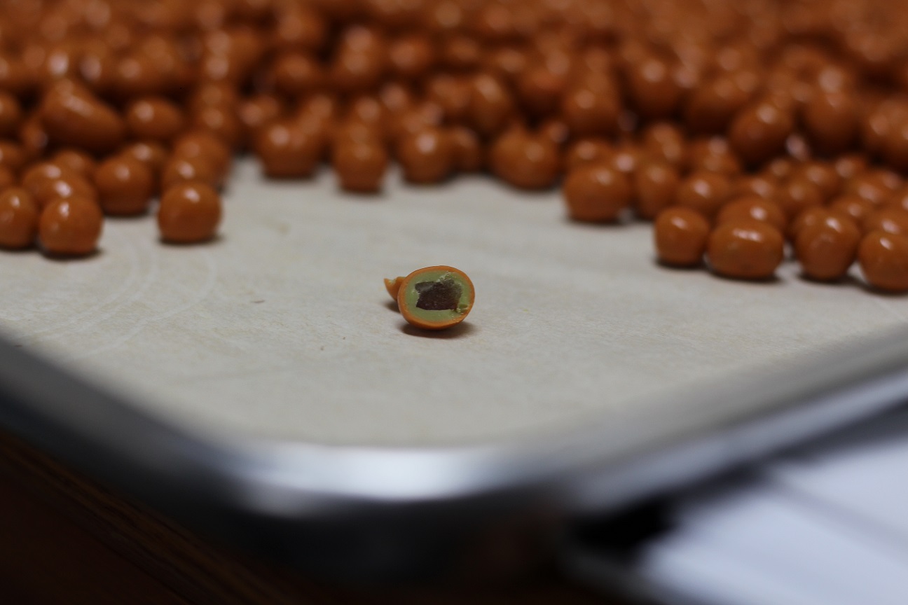 Panning 101 – Chocolate covered stuff – Smoothies & Sundaes